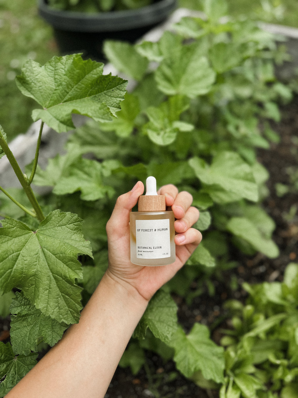 BOTANICAL ELIXIR (ships by 04.01) – Of Forest & Human